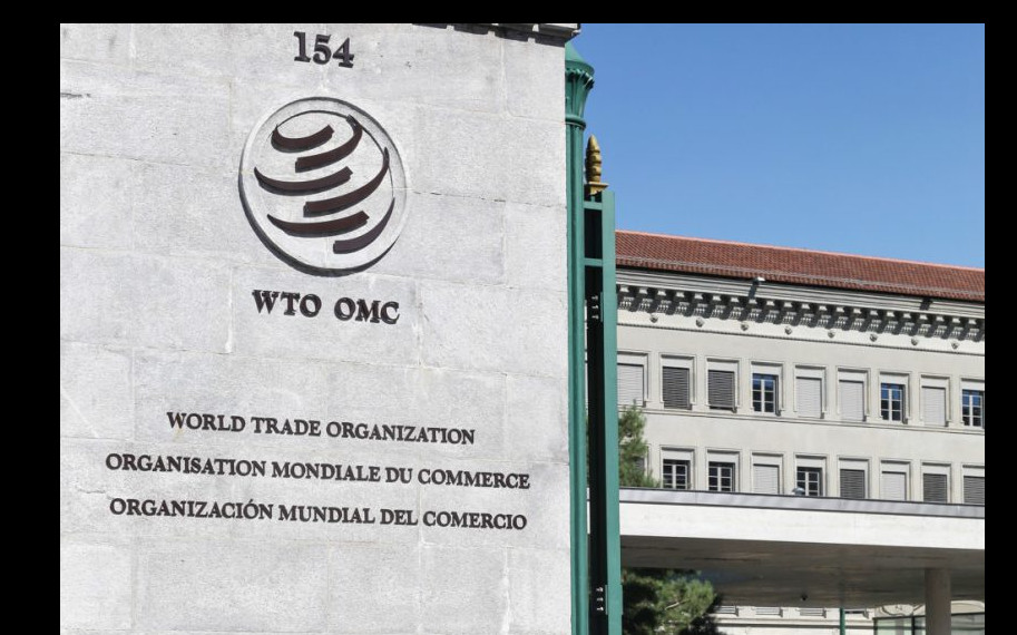 Brèves de l'OMC n°06 - Octobre 2024 : « 5ème semaine de l’environnement à l’OMC » | Direction ...