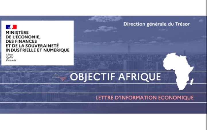A la une d'Objectif Afrique : Les analyses de l'OCDE sur les dynamiques ...