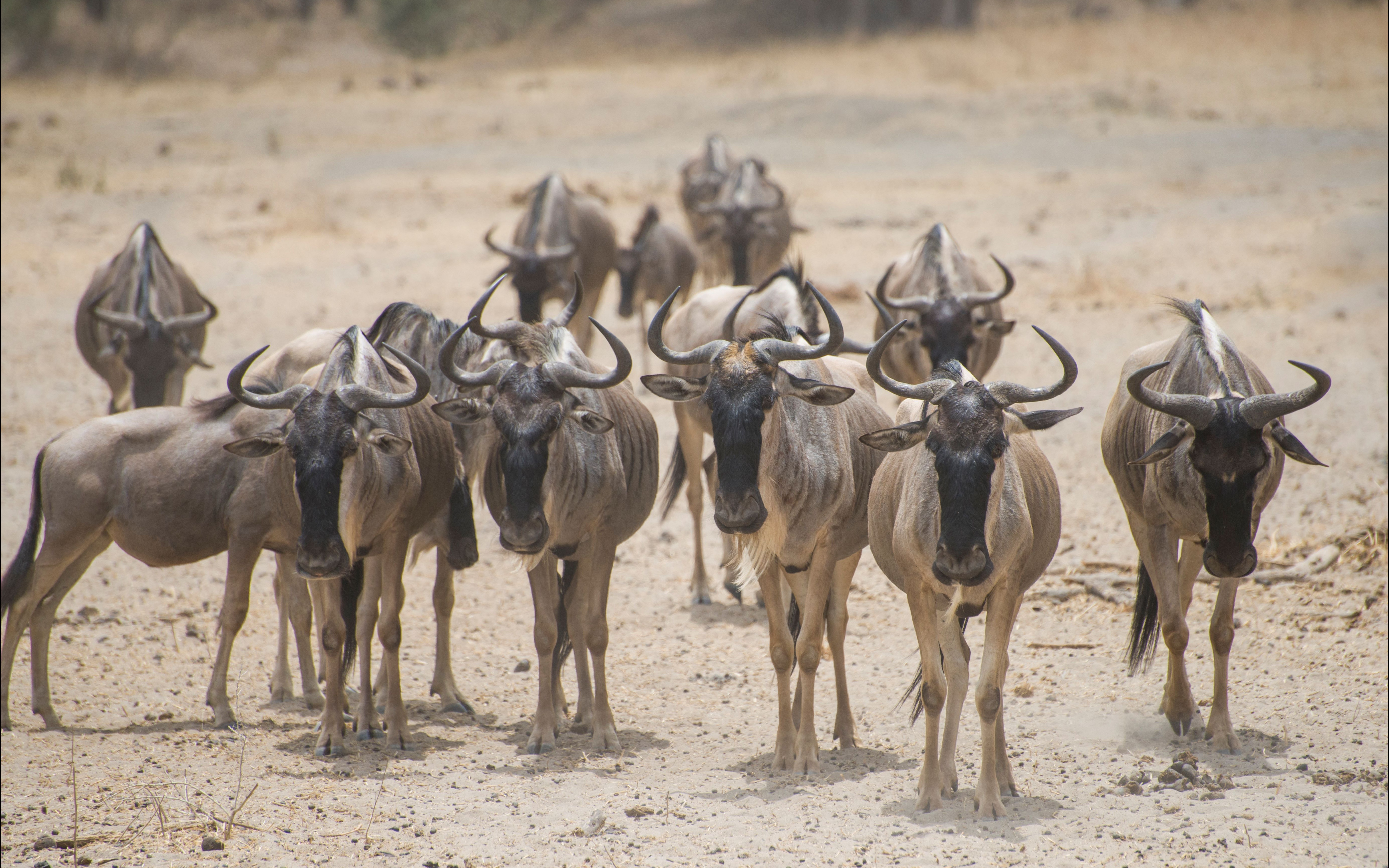 Brèves économiques Afrique de l'Est et de l'Océan Indien de la semaine ...