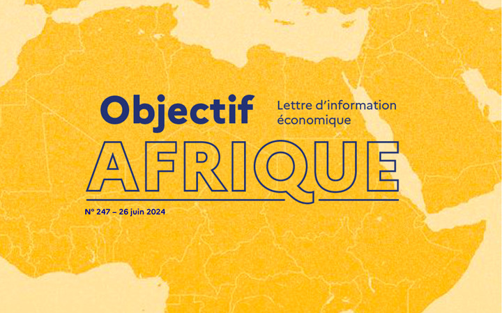 A la une d'Objectif Afrique : Perspectives économiques en Afrique 2024 - Banque africaine de ...