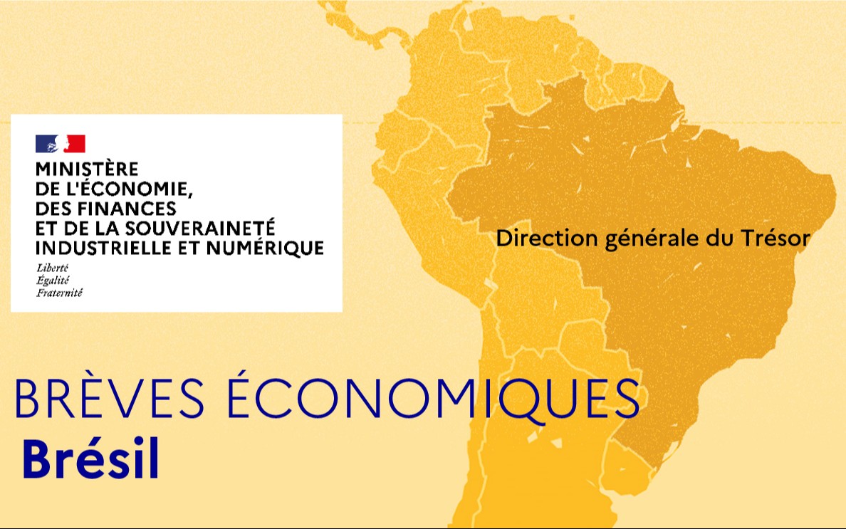 Brazil Economy: June 9, 2025 – Weekly Briefing - www.world-today ...