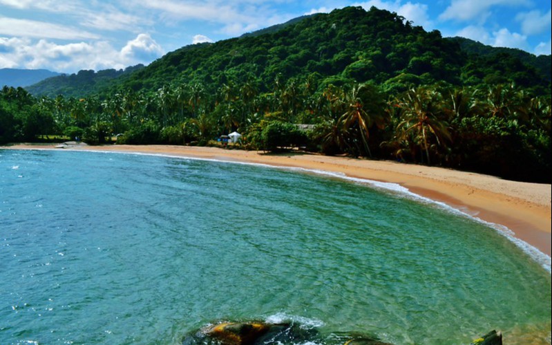 Amérique Andine – Brèves N°29 du 18 au 25 juillet 2024 | Direction ...