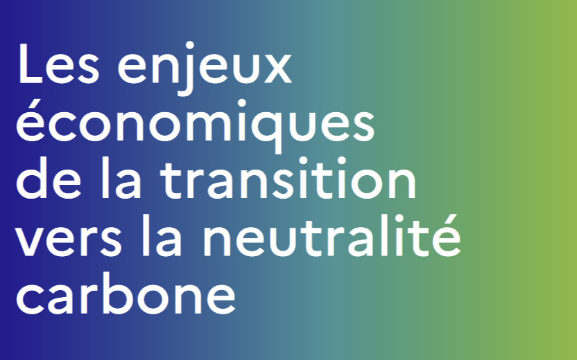 Rapport final - Les enjeux économiques de la transition vers la ...